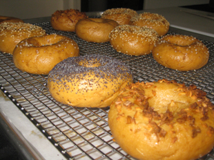 A gluten-free bagel even a Jewish mother could love