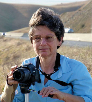 Q&A: Salt-of-the-earth scientist and artist